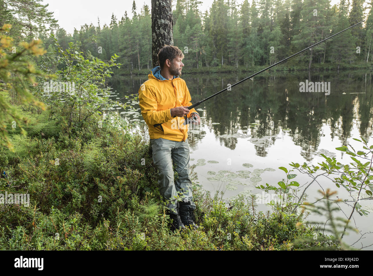 Man is fishing on the shore of beautiful forest lake Stock Photo - Alamy