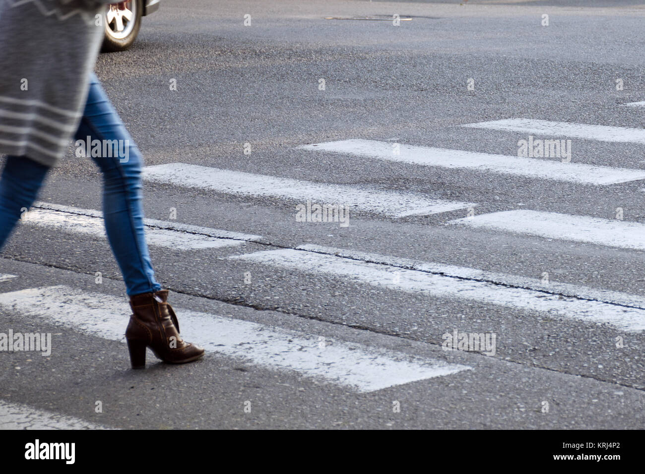 Zebra feet hi-res stock photography and images - Alamy