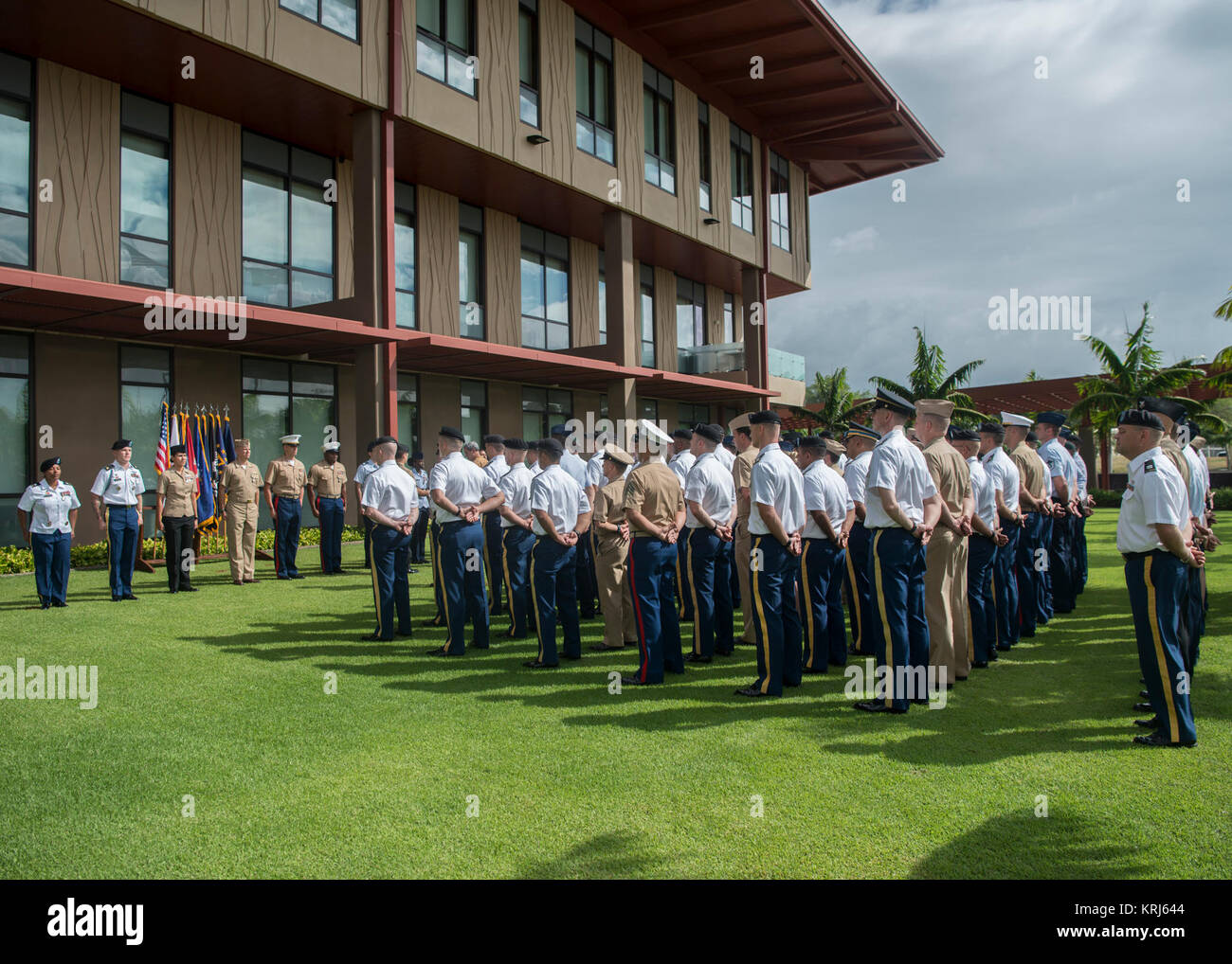 Members of the Defense POW/MIA Accounting Agency (DPAA) stand in ...