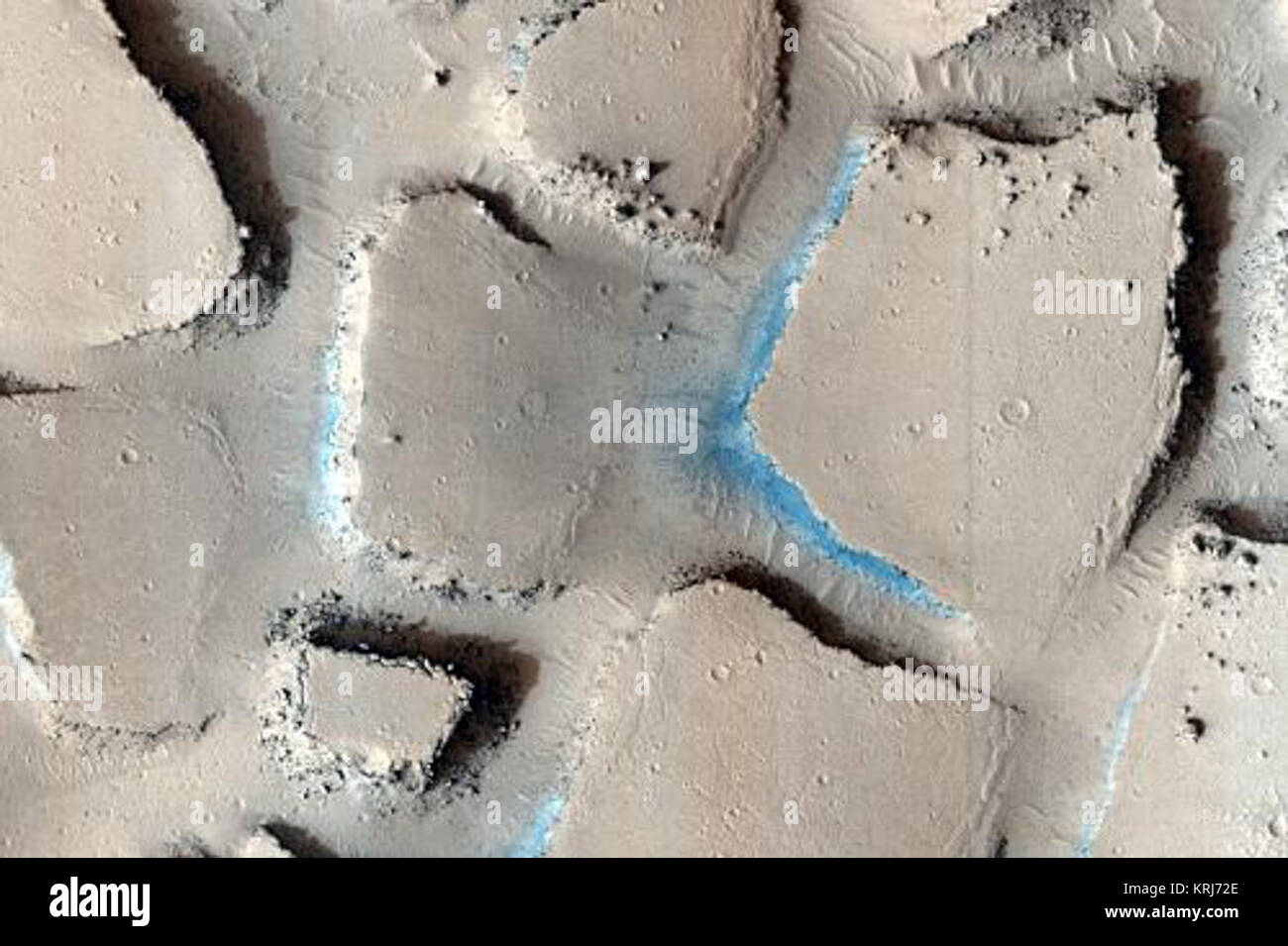 Palus hi-res stock photography and images - Alamy