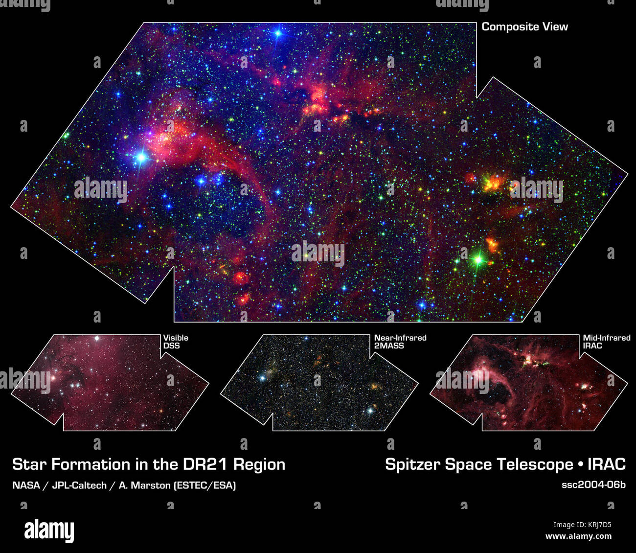 Hidden behind a shroud of dust in the constellation Cygnus is a stellar ...