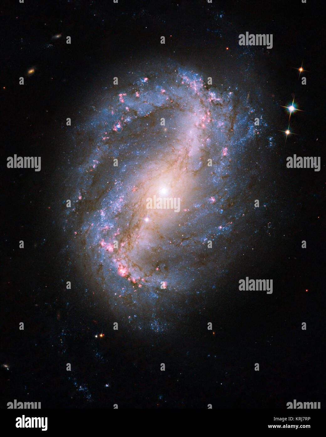 2009 bc hi-res stock photography and images - Alamy