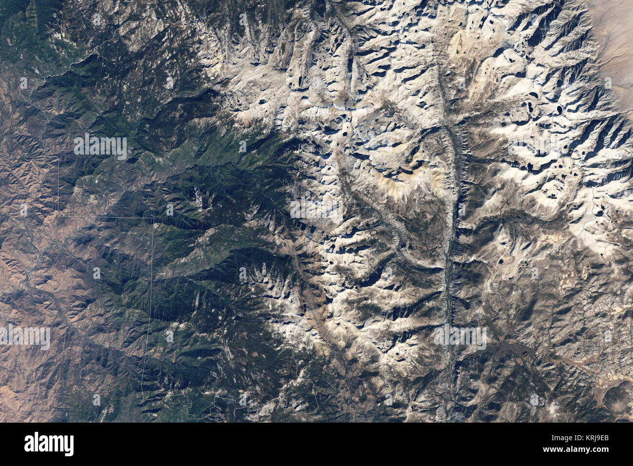 IDL TIFF file Sequoia National Park Stock Photo - Alamy