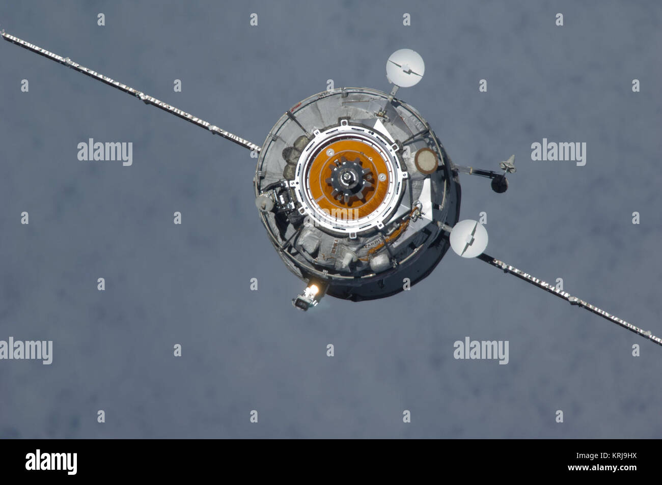 Poisk hi-res stock photography and images - Alamy