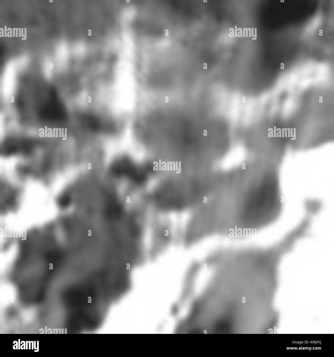 Moon skeleton head Stock Photo - Alamy