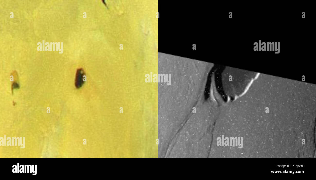 Tawhaki hi-res stock photography and images - Alamy