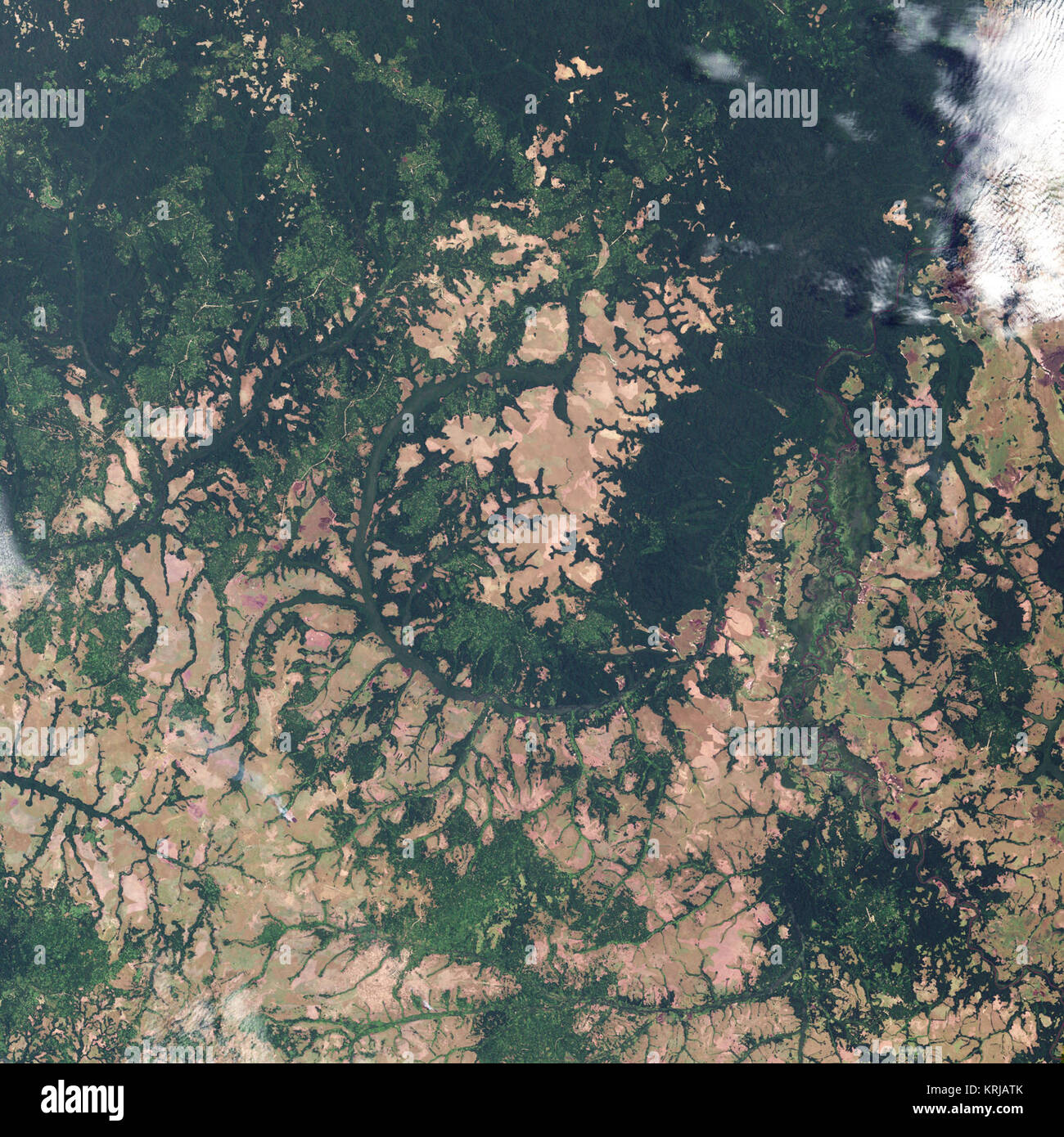 Wembo-Nyama Feature, DR Congo 2000-04-01 lrg Stock Photo - Alamy