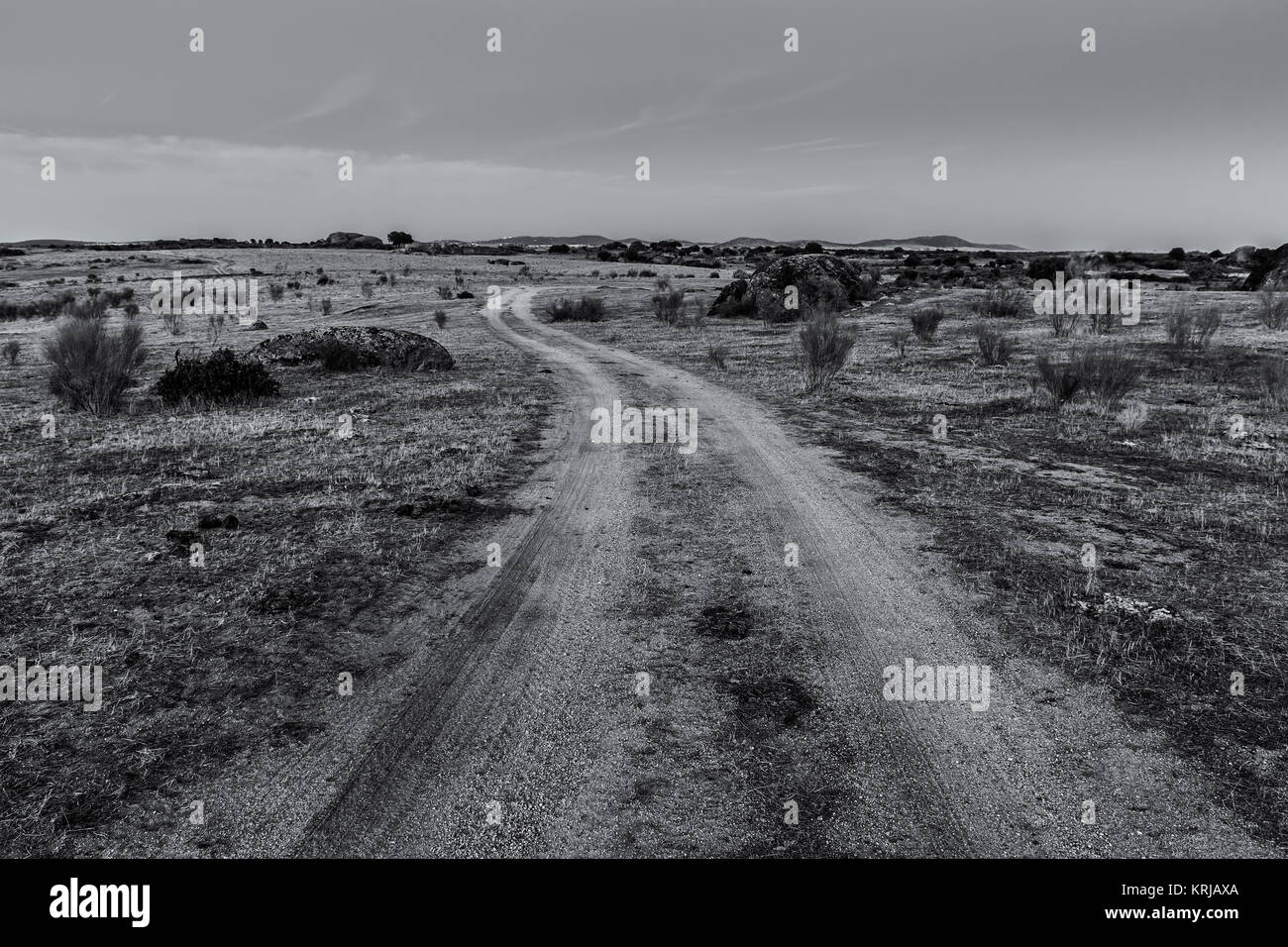 Landscape with a rural road Stock Photo - Alamy