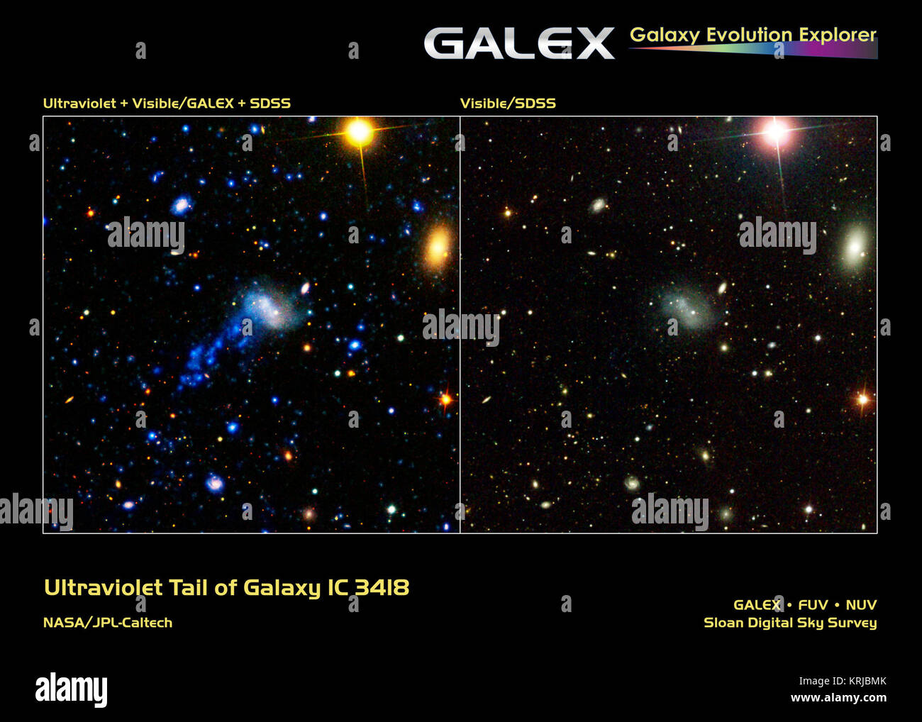 NASA's Galaxy Evolution Explorer found a tail behind a galaxy called IC ...