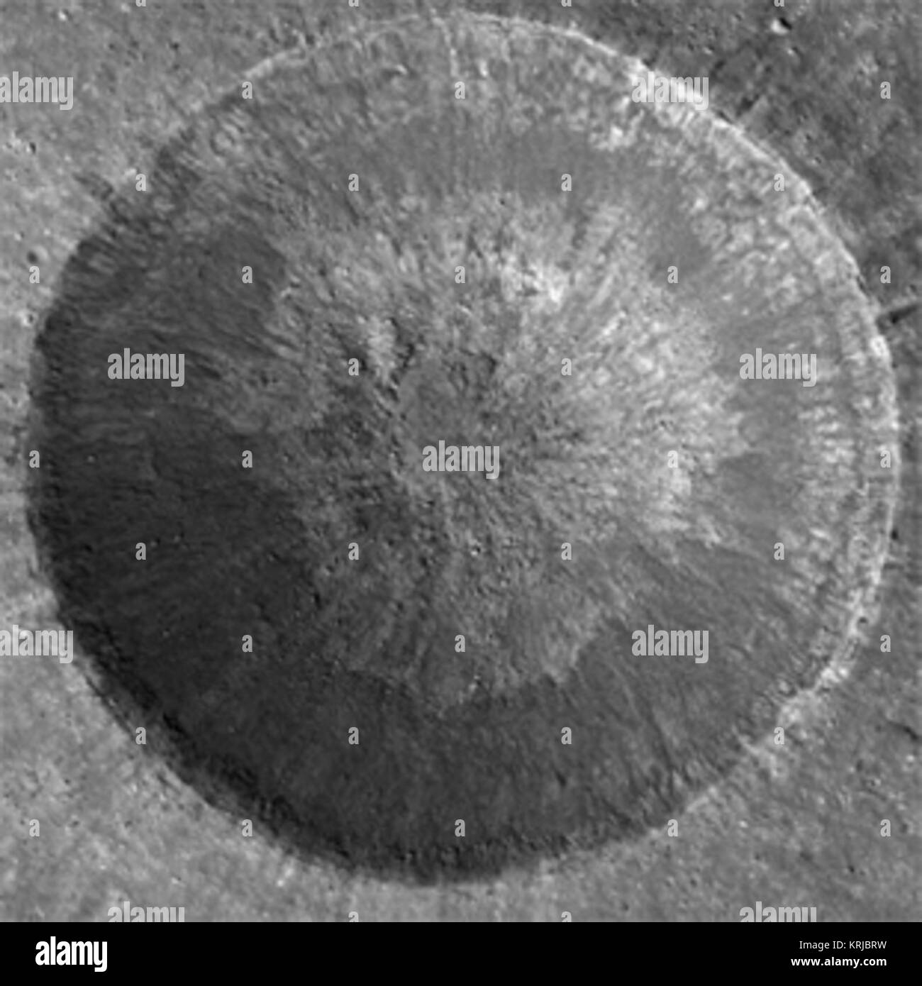 Linne Black and White Stock Photos & Images - Alamy