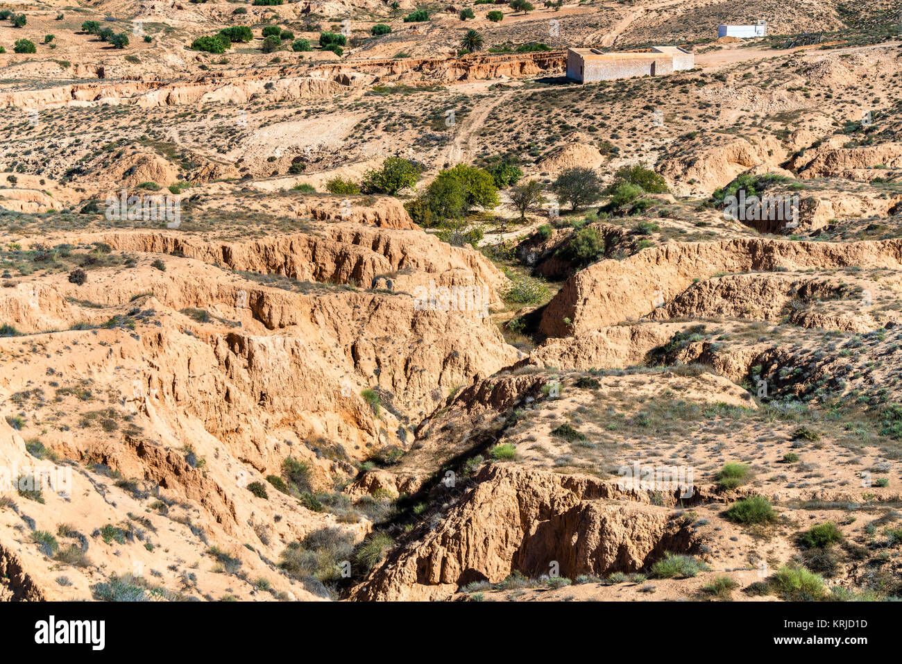 Typical Tunisian landscape in the Medenine Governorate. North Africa ...