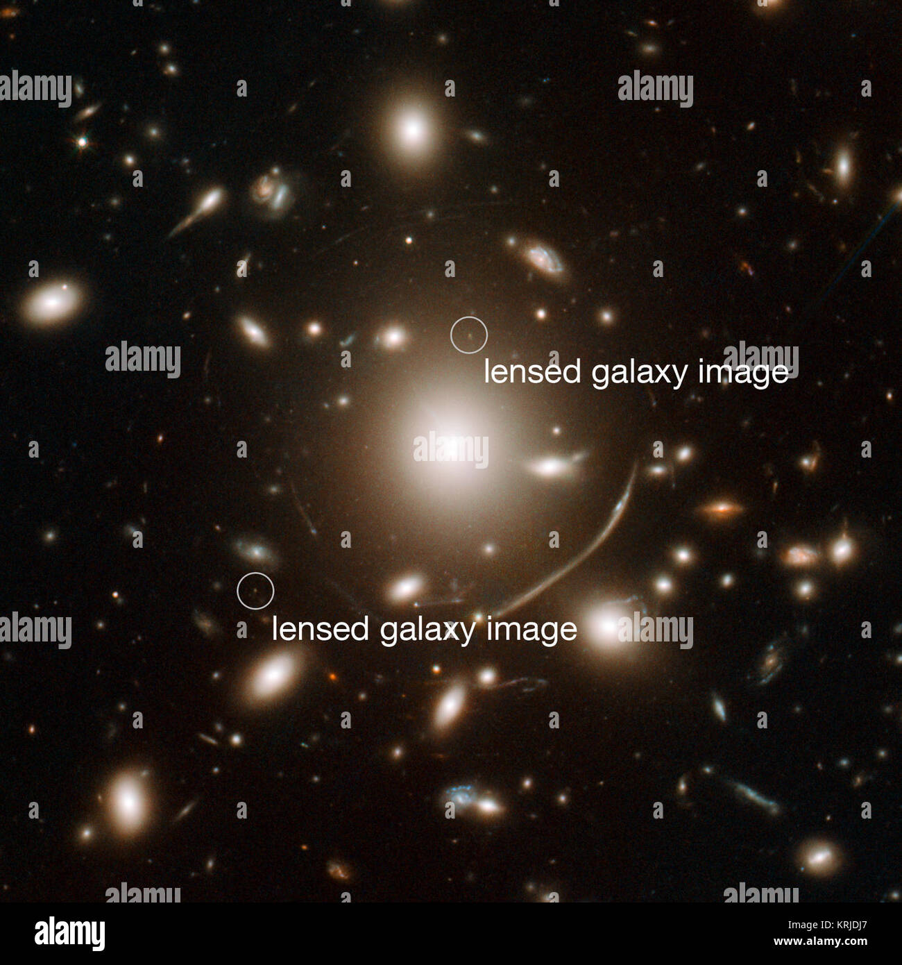 The Giant Cluster Of Elliptical Galaxies In The Center Of This Image