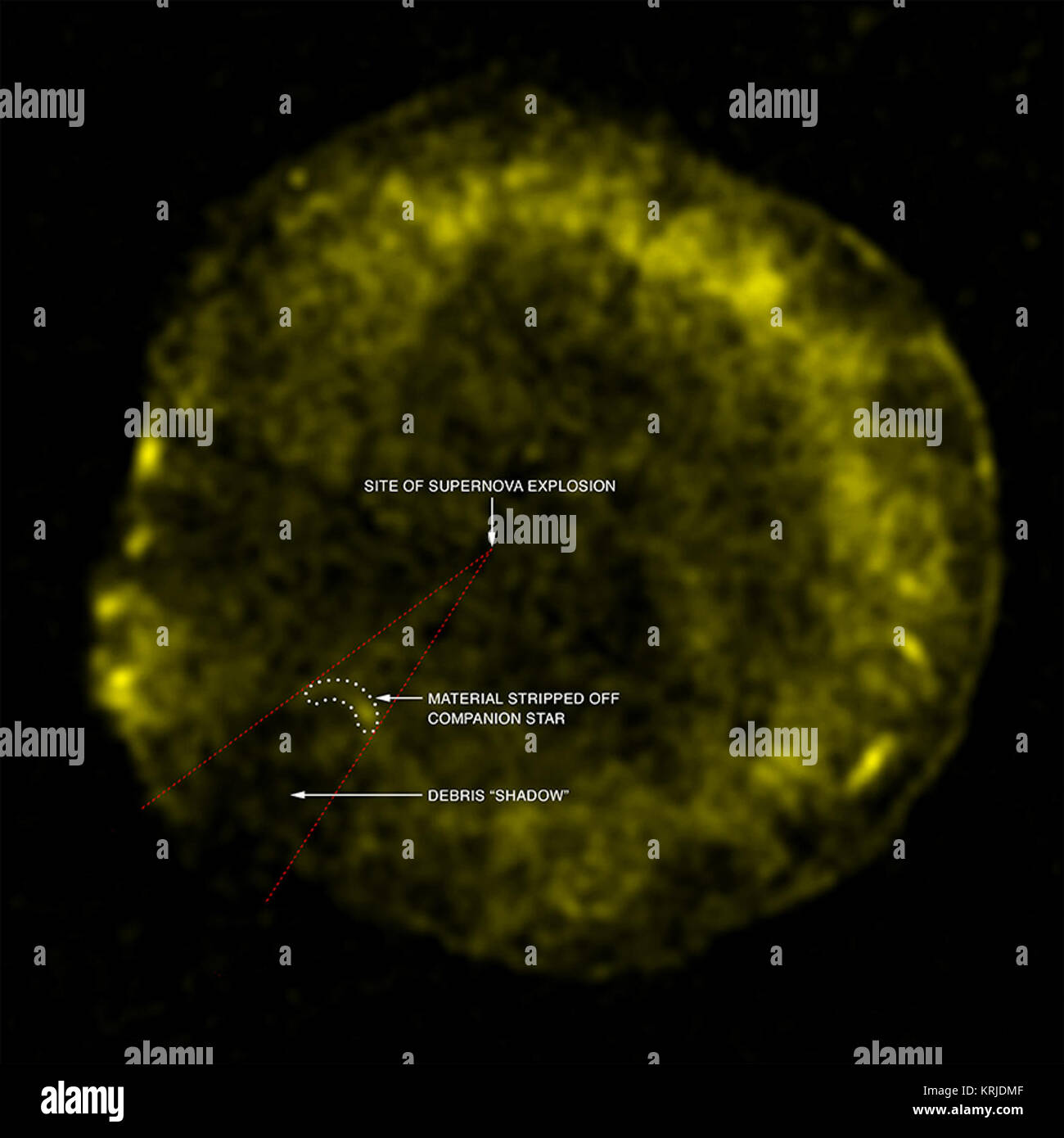 This Chandra image of the Tycho supernova remnant contains new evidence ...