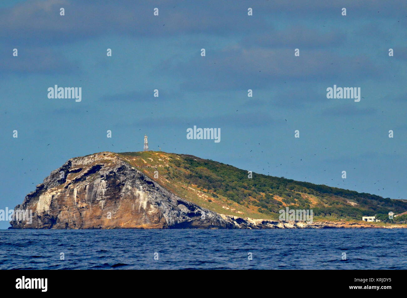 Isla Isabel a volcanic island 15 miles off Mexico’s Riviera Nayarit ...