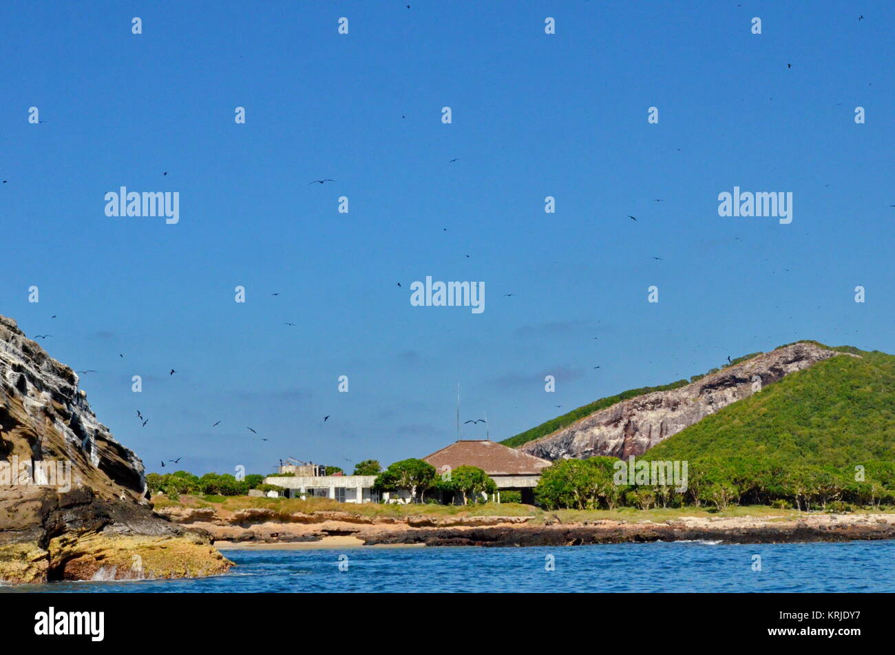 Isla Isabel a volcanic island 15 miles off Mexico’s Riviera Nayarit ...