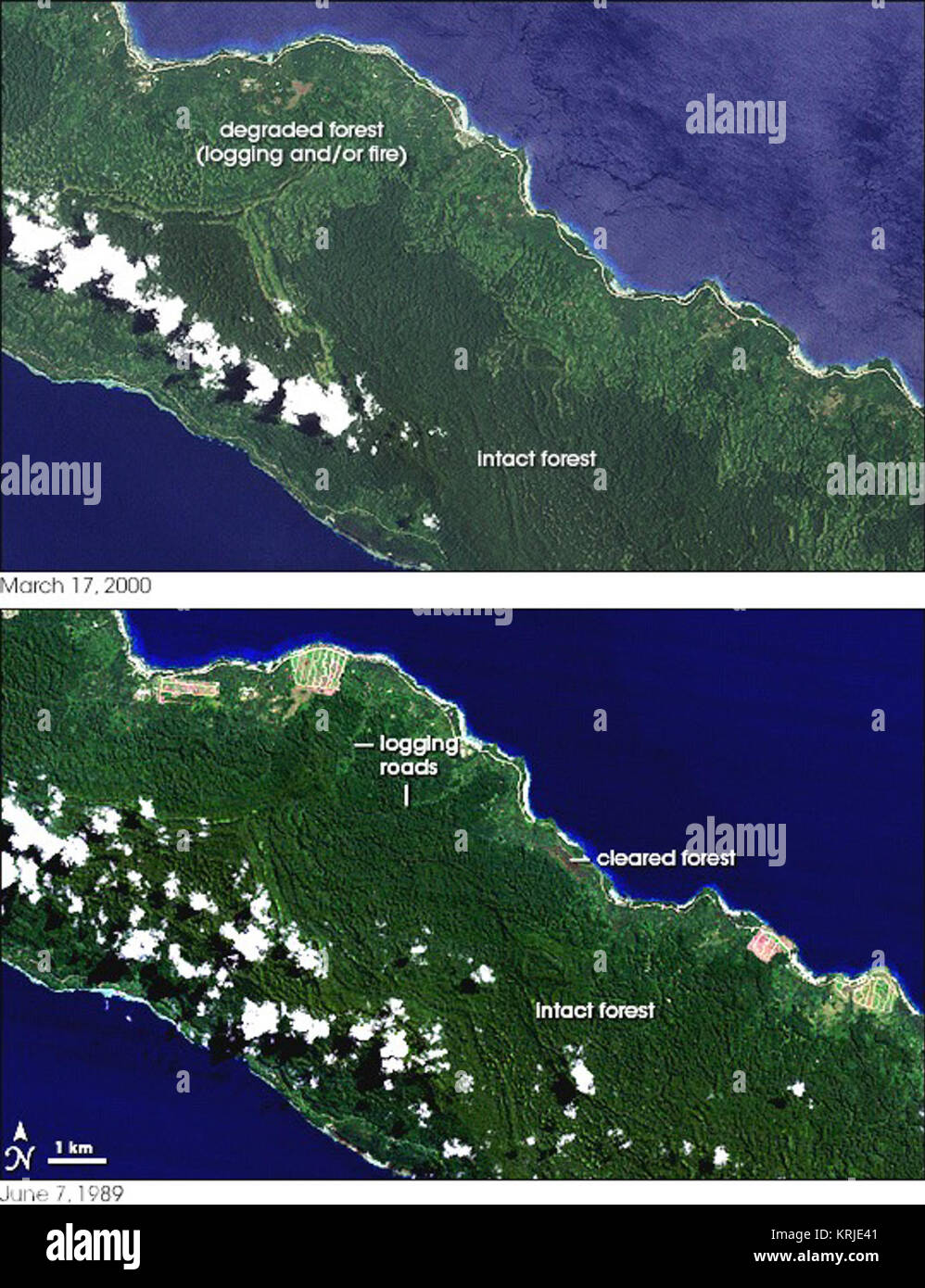 New Ireland forest cover 1989-2000 Stock Photo - Alamy