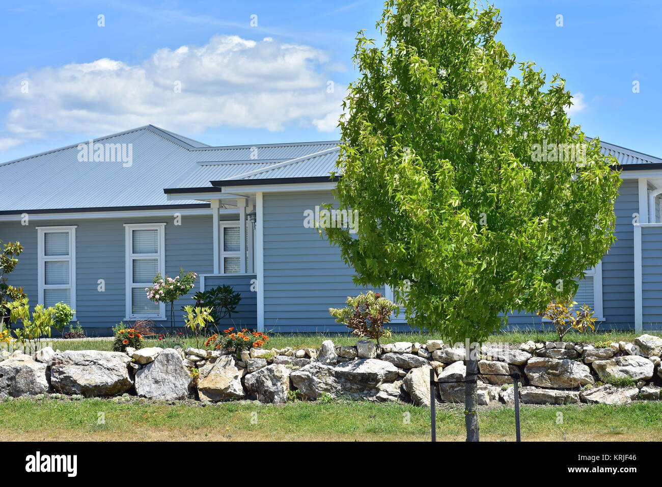 Tree with fresh green leaves in front of bungalow-style wooden house ...