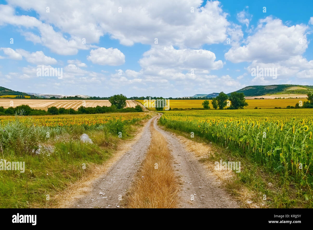 Country Road between Fields Stock Photo - Alamy