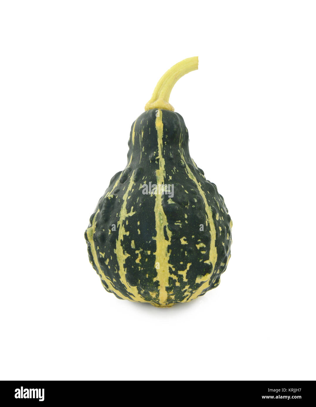 Green, stripey ornamental gourd Stock Photo - Alamy