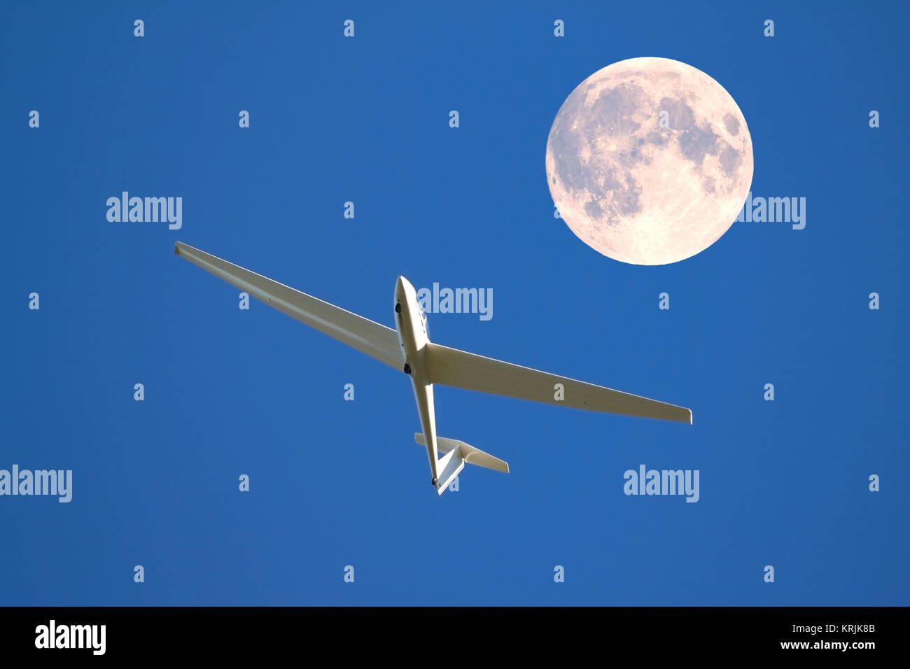 Easy Glider High Resolution Stock Photography and Images - Alamy