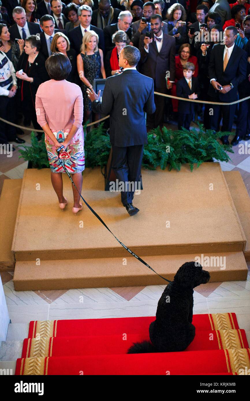 President obama family dog bo hi-res stock photography and images - Alamy