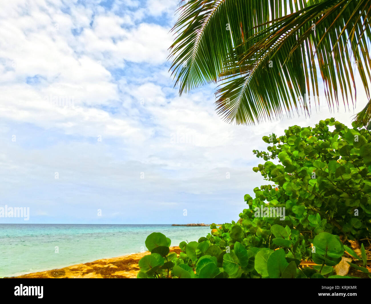 The Caribbean tropical beach Stock Photo - Alamy