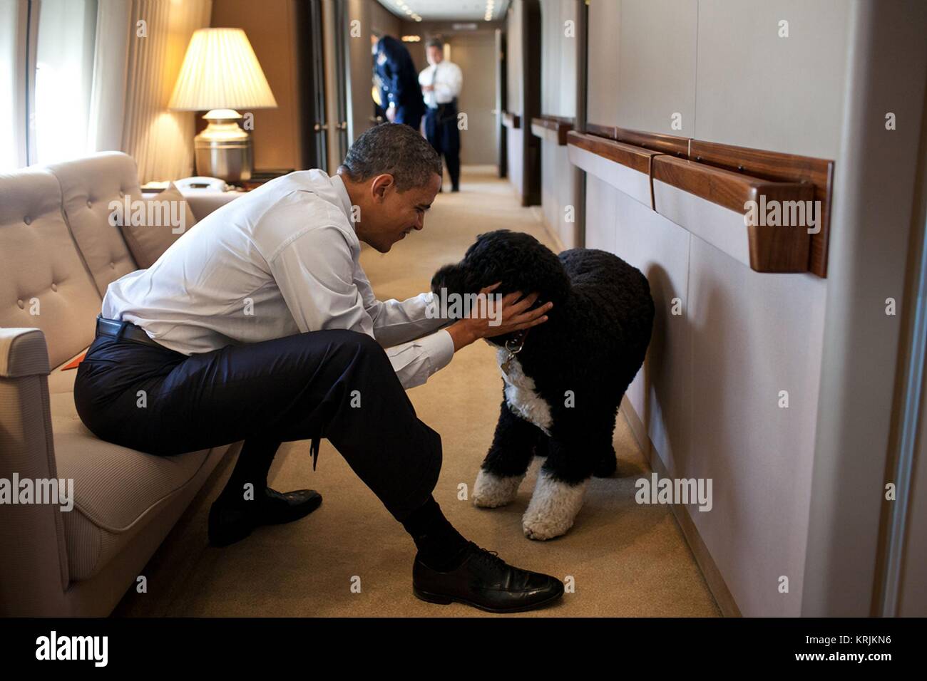 U.S. President Barack Obama plays with family dog Bo aboard an Air ...