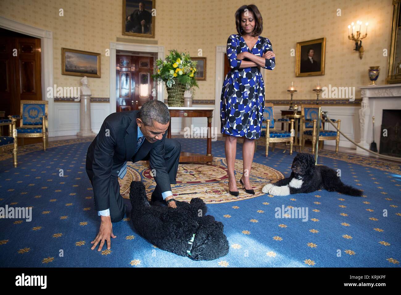President obama family dog bo hi-res stock photography and images - Alamy