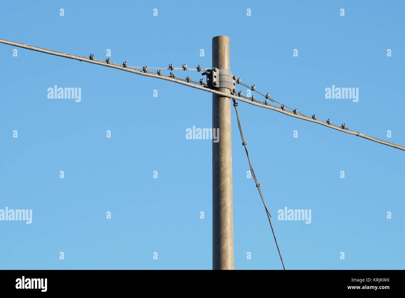 Telephone electrical wire wooden poles hi-res stock photography and ...