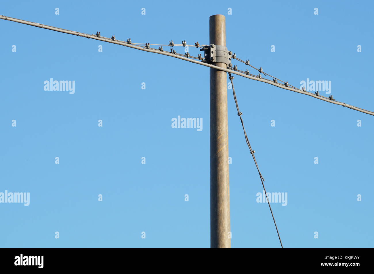 Telephone electrical wire wooden poles hi-res stock photography and ...