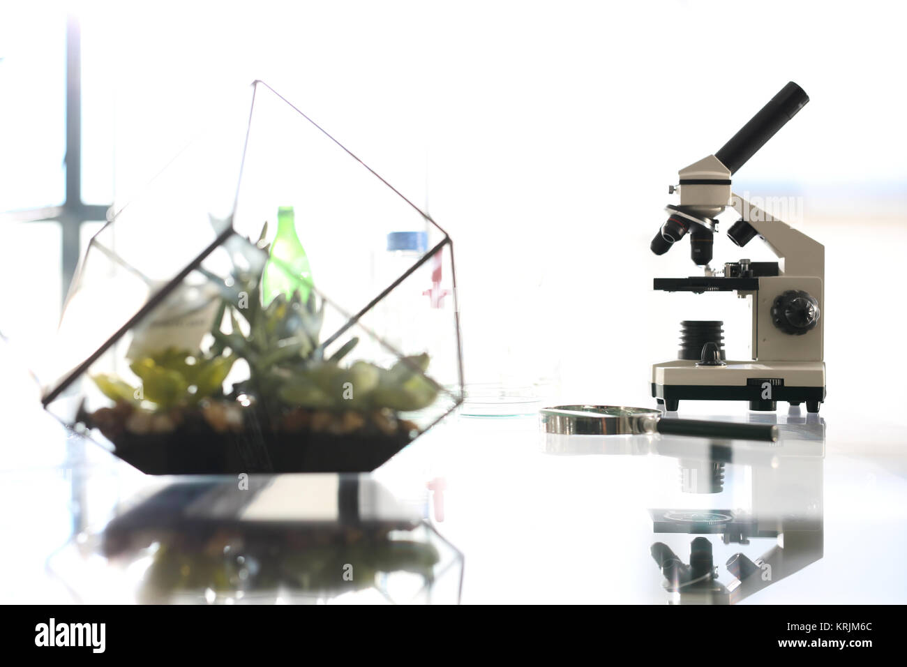 biotechnology lab microscope Stock Photo - Alamy