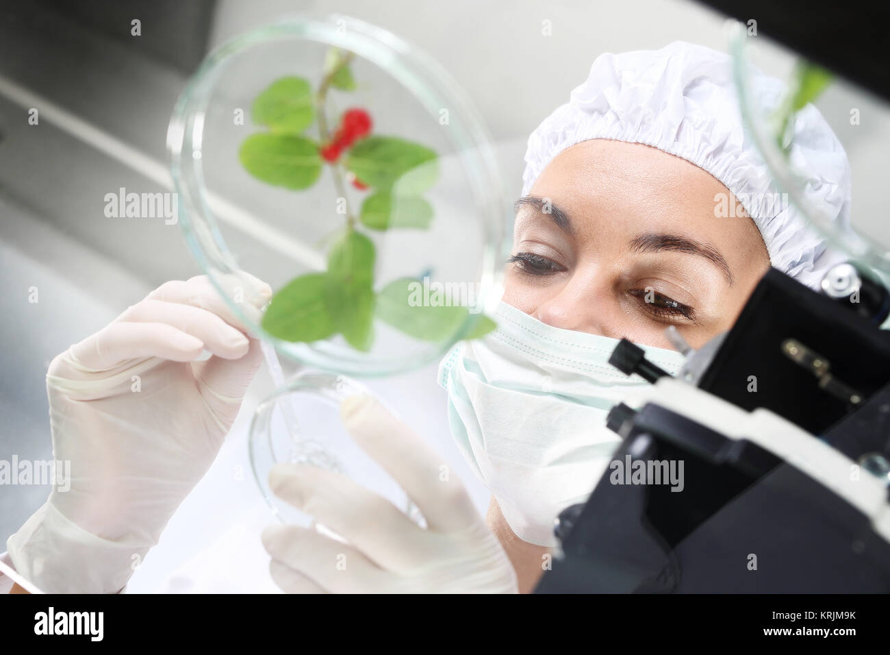 Employee drug testing hi-res stock photography and images - Alamy