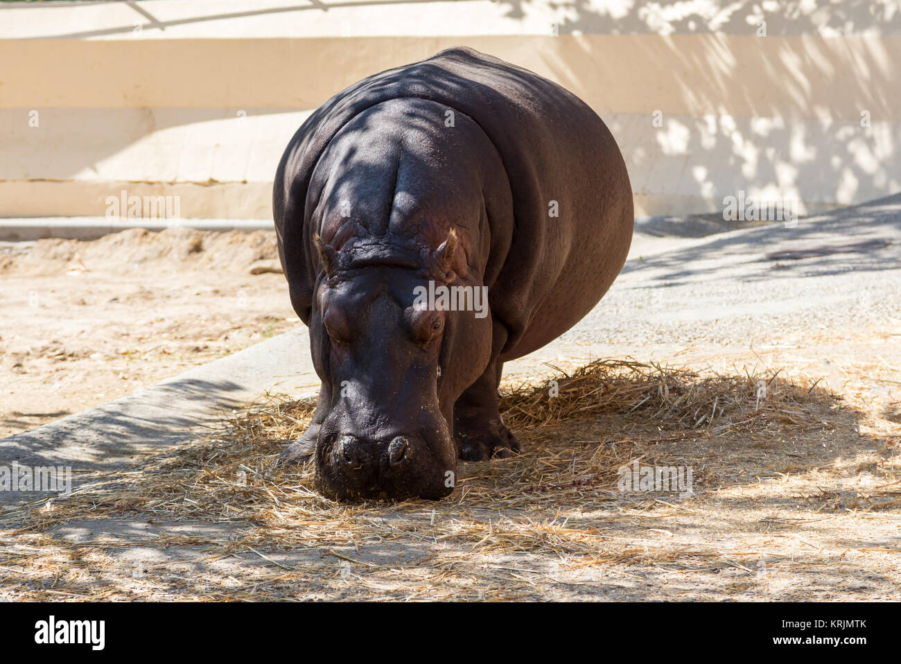 Stay powerful hi-res stock photography and images - Alamy