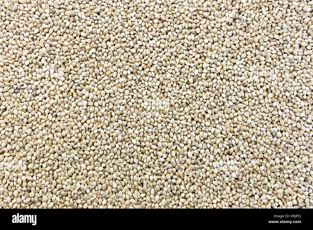 Hemp seeds texture Stock Photo - Alamy
