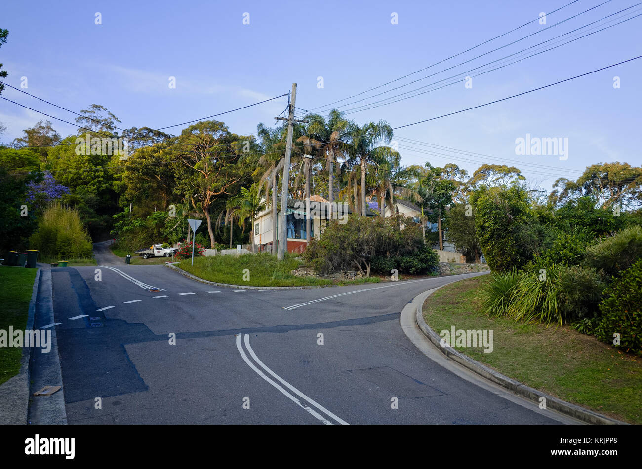 Beautiful suburban Australia street with residential building and palm ...