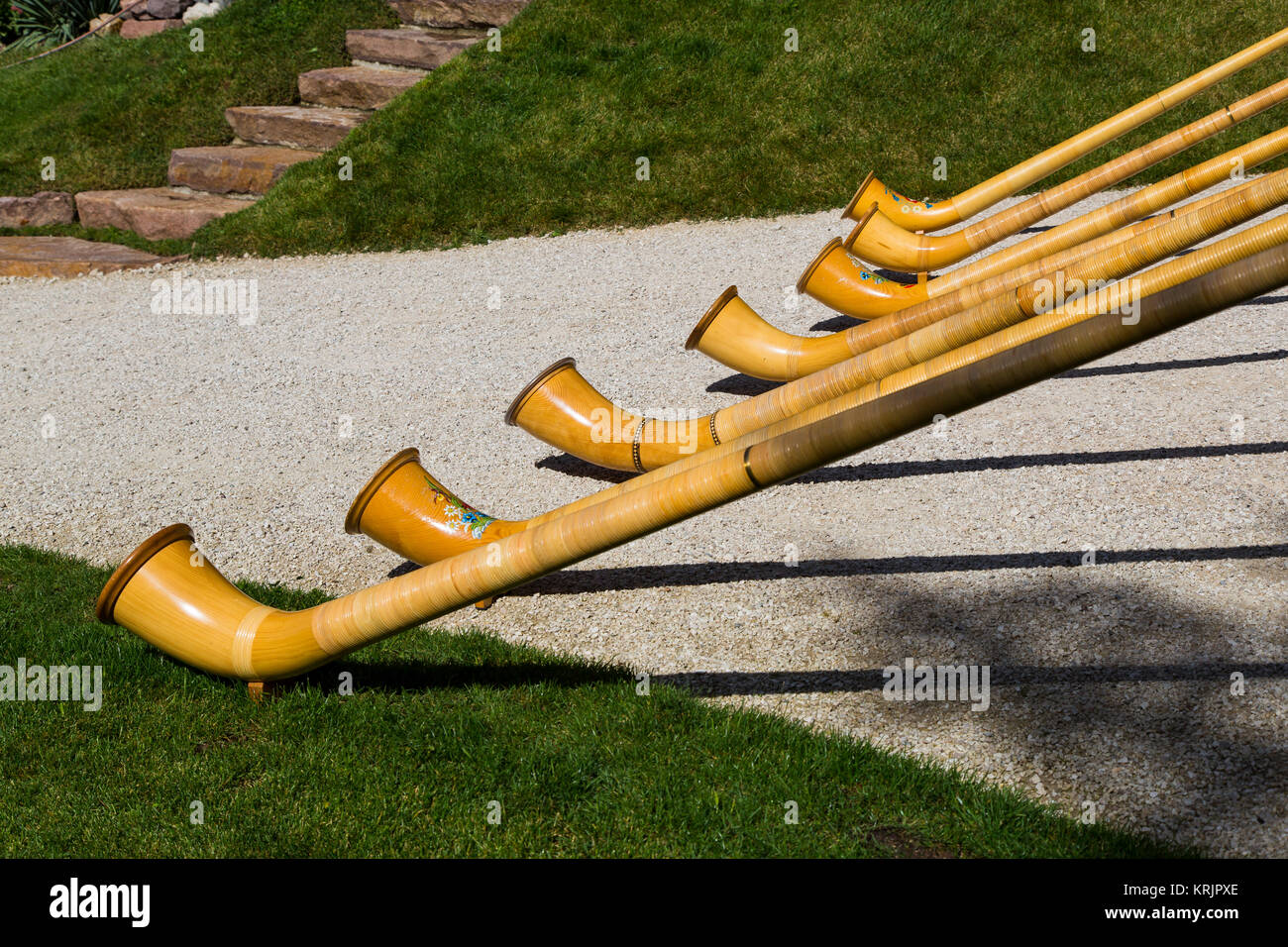 Top view of Alpine horns on green grass Stock Photo - Alamy