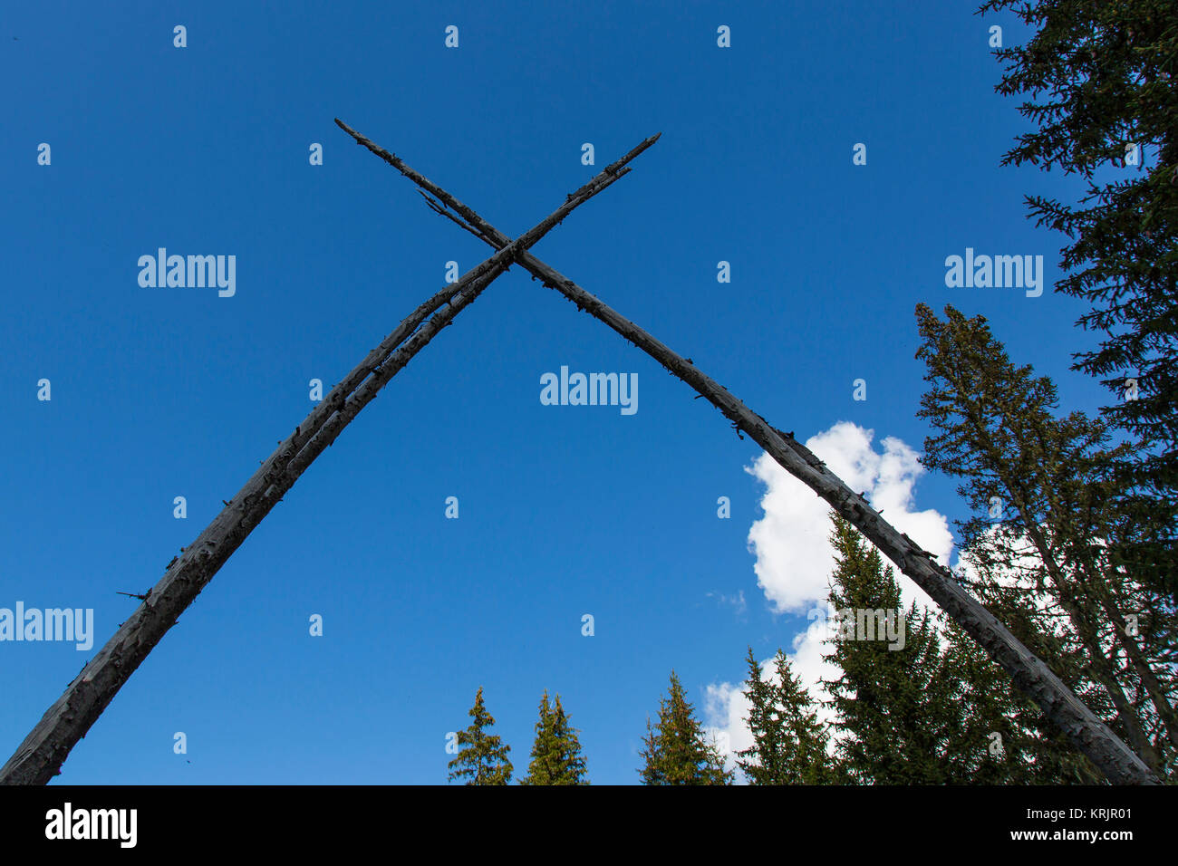 View of two crossed logs under a blue sky with trees on the right Stock ...
