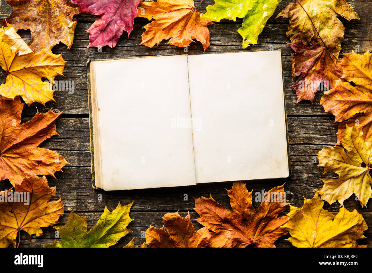 Cookbook project hi-res stock photography and images - Alamy