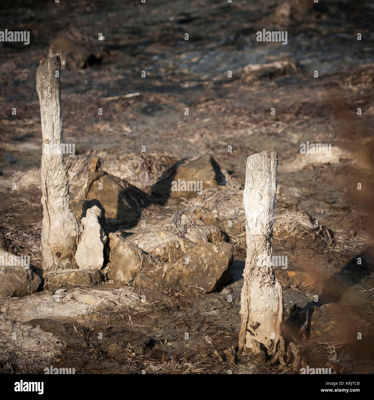 Schlamm und steine hi-res stock photography and images - Alamy