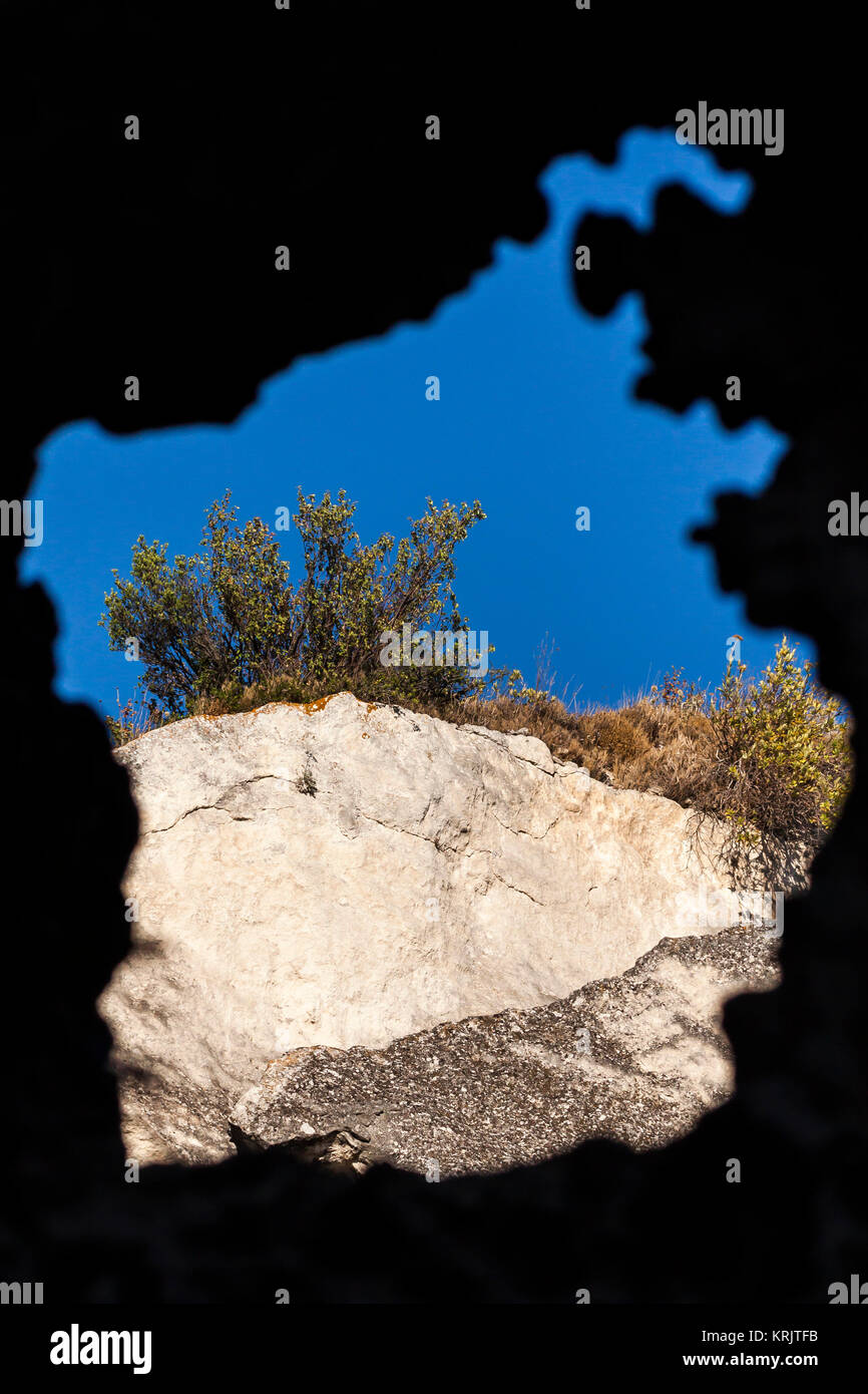 Naturfokus hi-res stock photography and images - Alamy