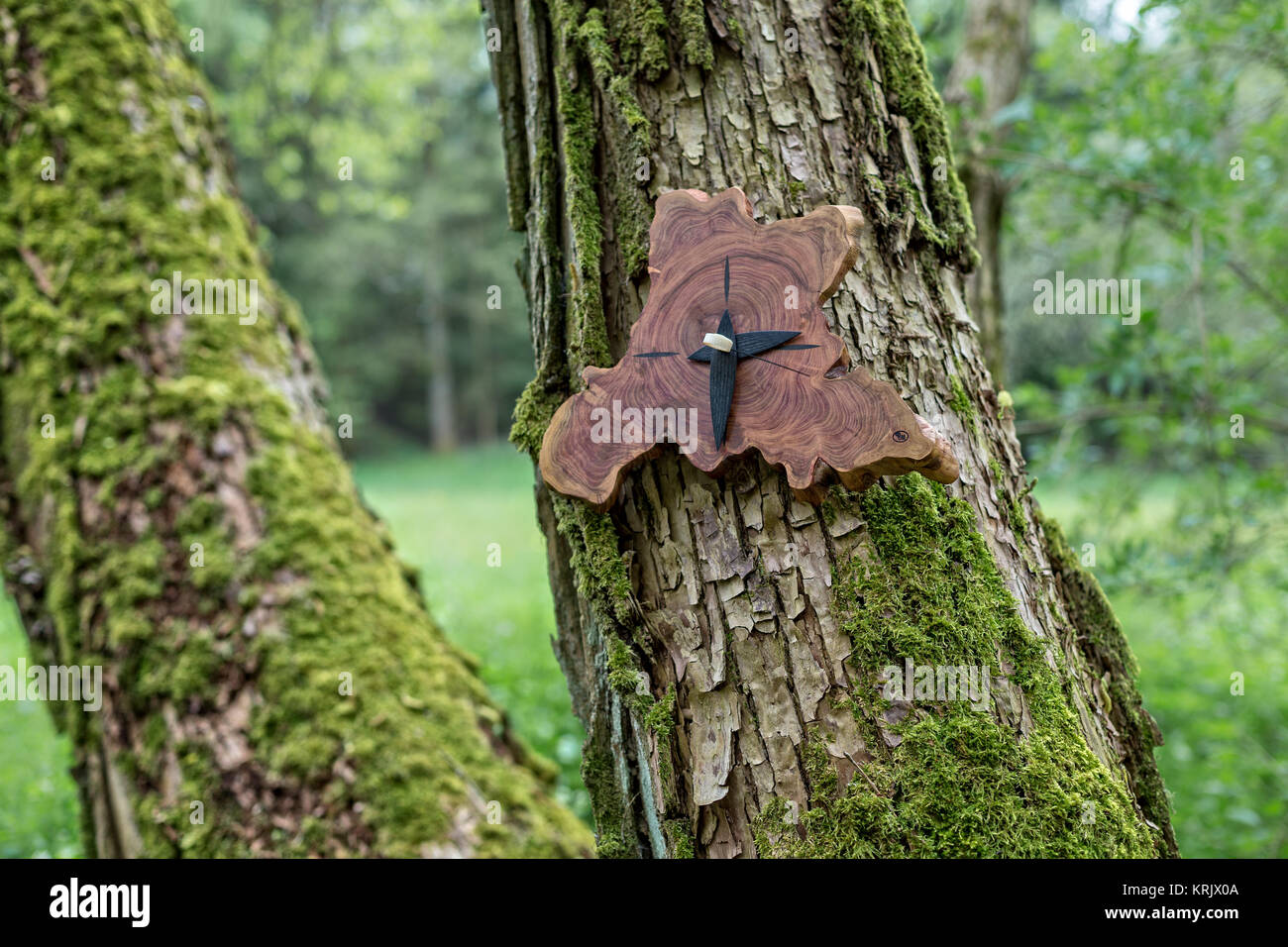 Wood turners work hi-res stock photography and images - Alamy