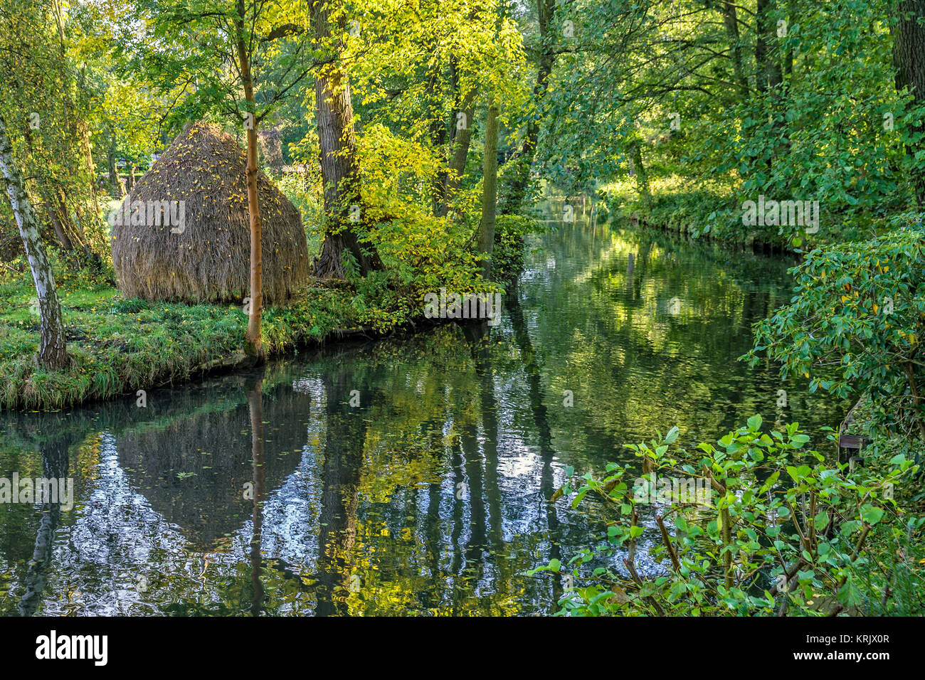 Spreewald gherkins hi-res stock photography and images - Alamy