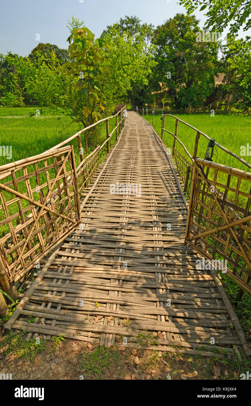 Bamboo Bridge over a Rice Paddy Stock Photo - Alamy