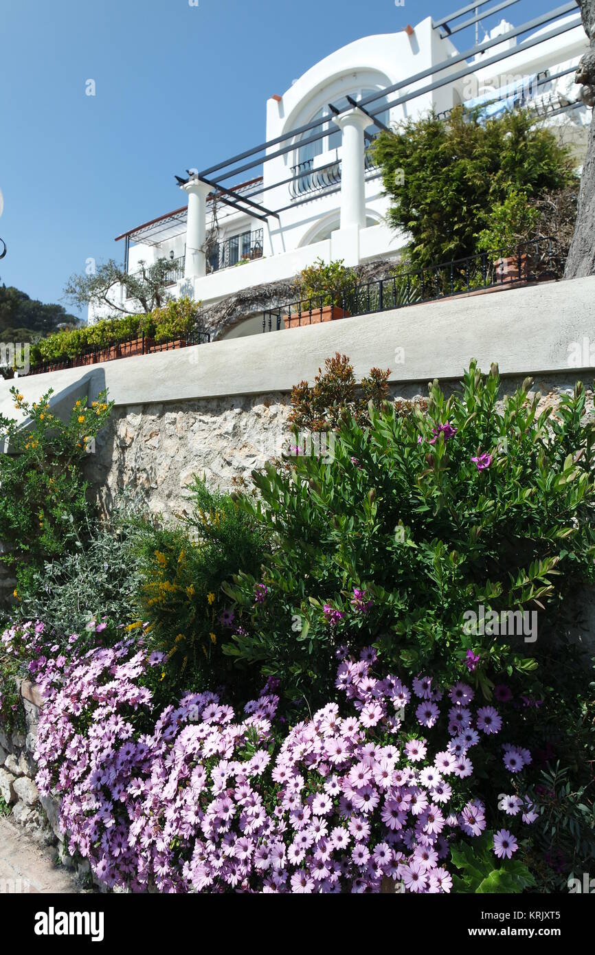 spring in capri Stock Photo - Alamy