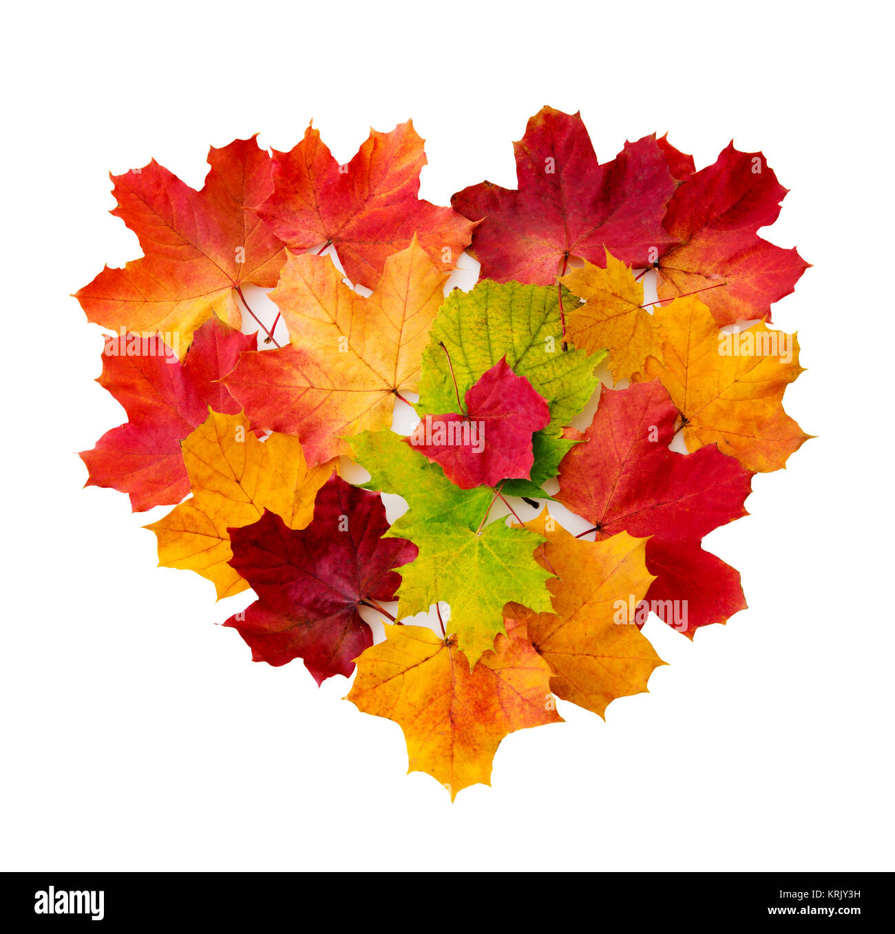Heart from maple leaves isolated on white background. Valentine's day ...