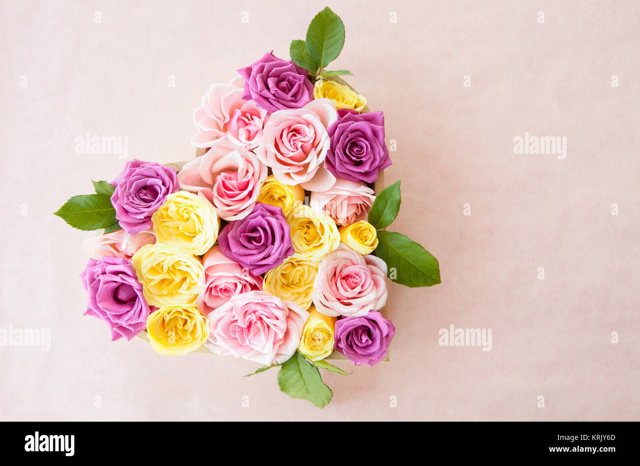 colorful roses as background Stock Photo - Alamy
