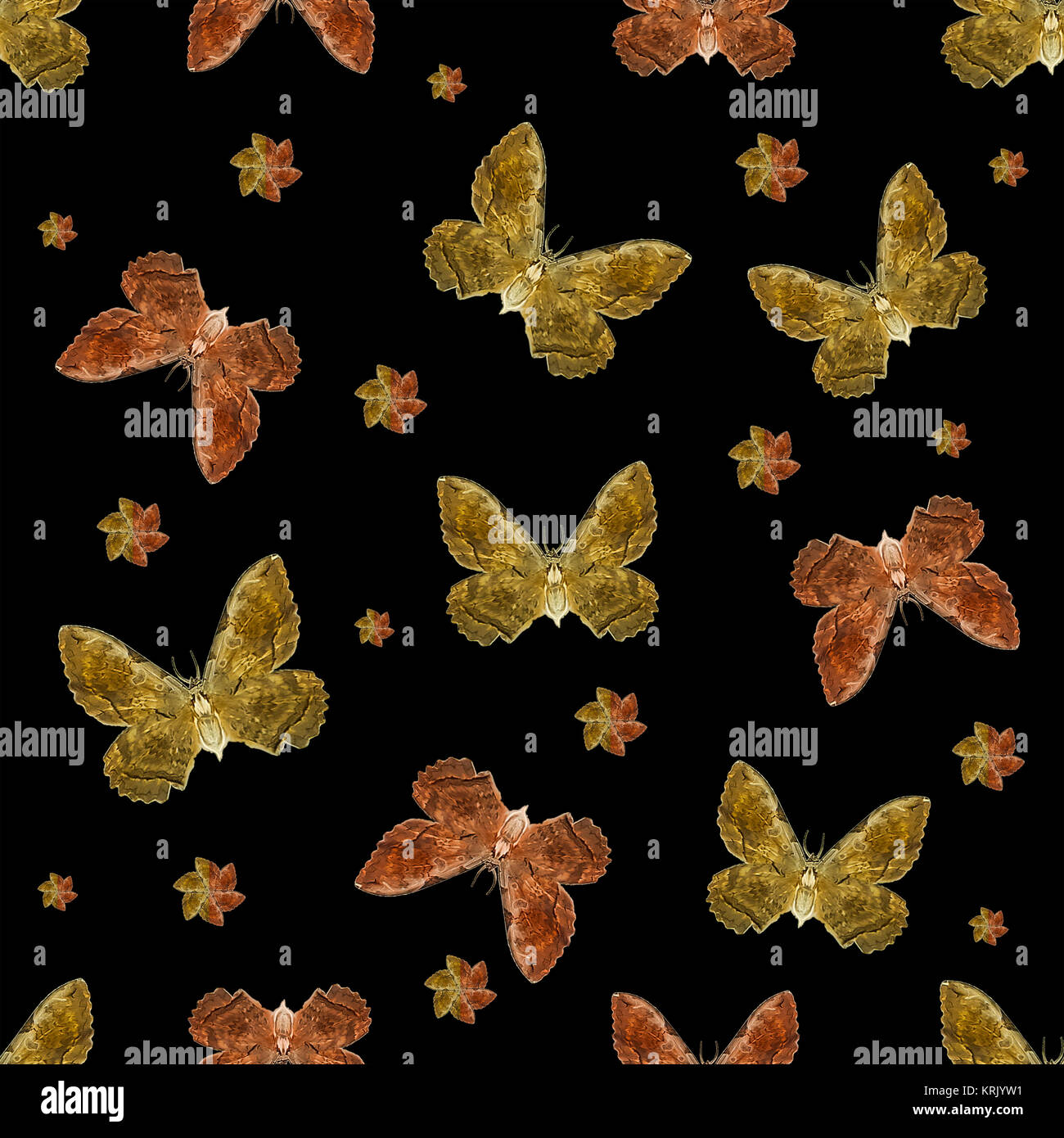 Moth Motif Seamless Pattern Design Stock Photo - Alamy
