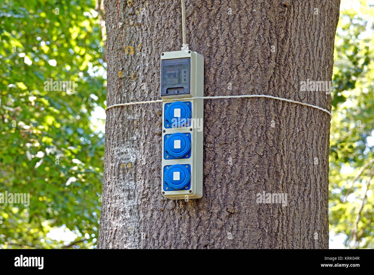 Green electricity plug outlets hi-res stock photography and images - Alamy
