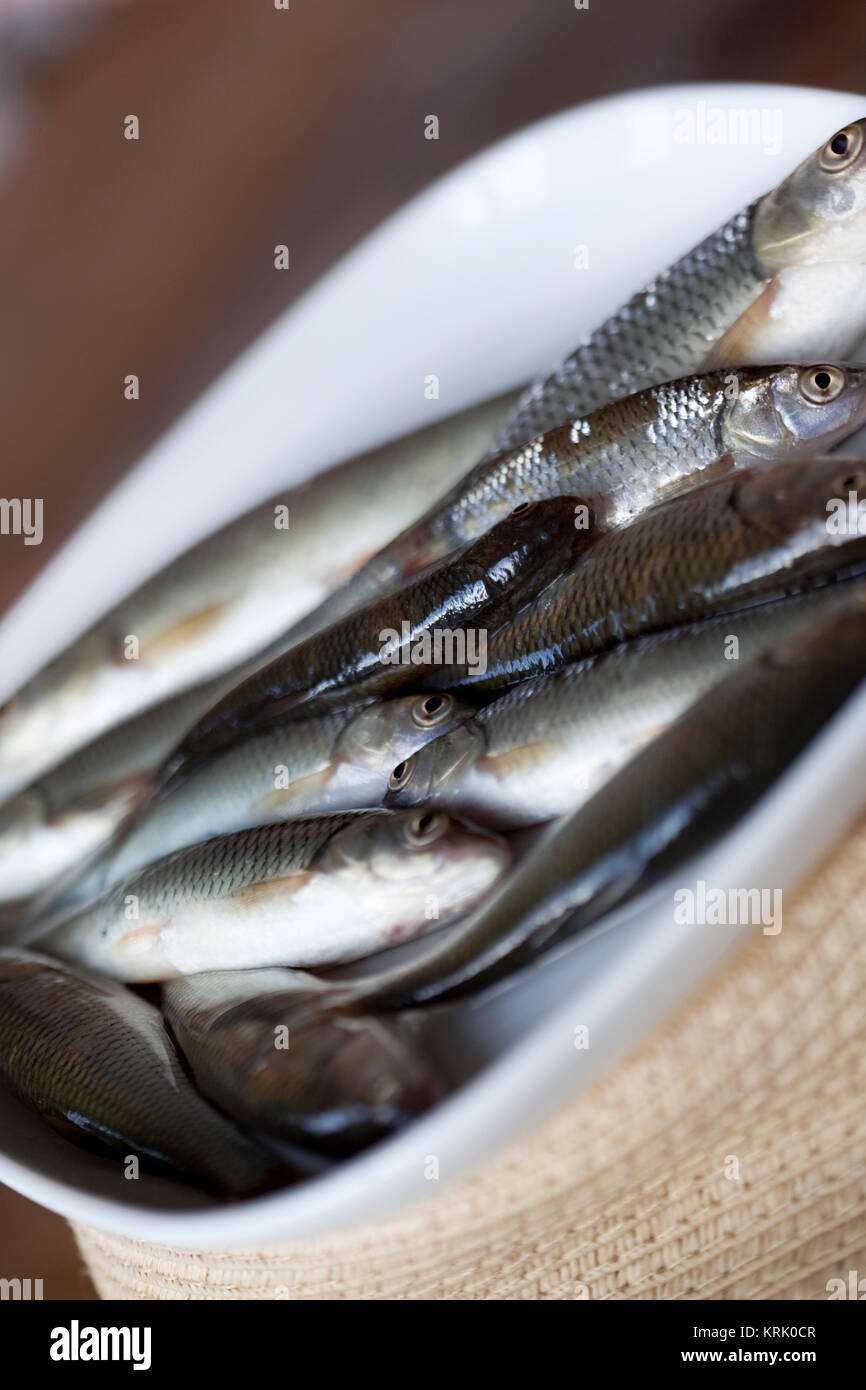 Fishes on a plate Stock Photo - Alamy