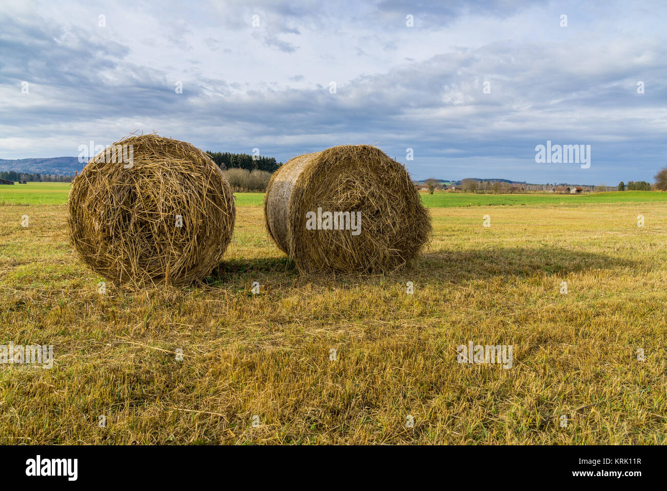 Bales goal hi-res stock photography and images - Alamy